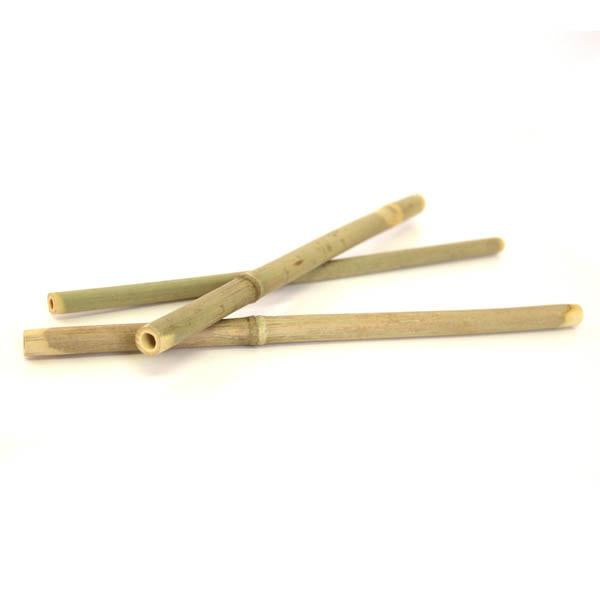 Bamboo Straws - 10 pack – Bar Supplies